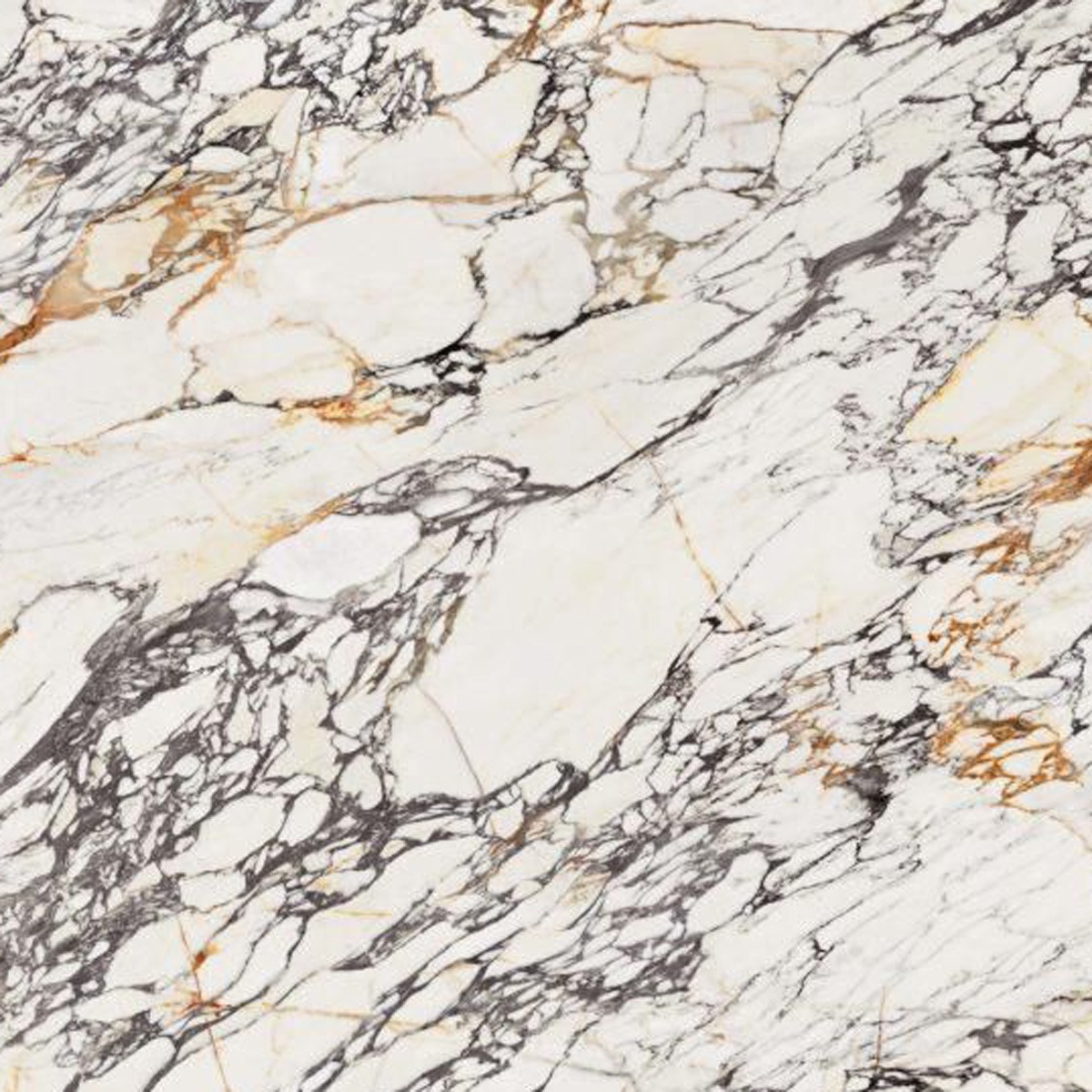 Calacatta Gold - Loong Stone China Natural Stone Suppliers Stone Factory